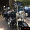 ROAD KING® Windshields – Freedom Shields